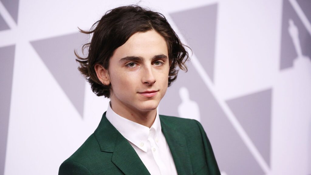 The New Box Office King? How Timothée Chalamet Became Hollywood's ...